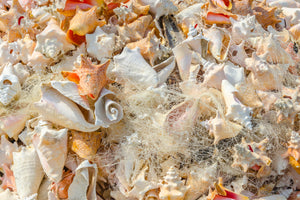 Shop Beautiful Beaches Wall Art Prints | Richards Silver Photo ...